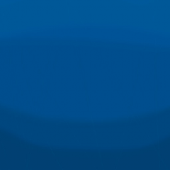 Scientists age sharks by counting the rings on their vertebrae Trophy ...