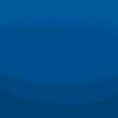 Scientists age sharks by counting the rings on their vertebrae Trophy ...