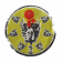 Go for Gold! Trophy • Call of Duty: Black Ops Cold War • PSNProfiles.com