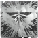 Firefly Trophy • The Last of Us • PSNProfiles.com