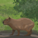 The Capybara P Platinum Club • PSNProfiles.com