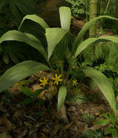 Gardener Trophy • Green Hell • PSNProfiles.com