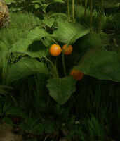 Gardener Trophy • Green Hell • PSNProfiles.com