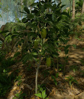 Gardener Trophy • Green Hell • PSNProfiles.com