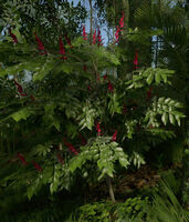 Gardener Trophy • Green Hell • PSNProfiles.com